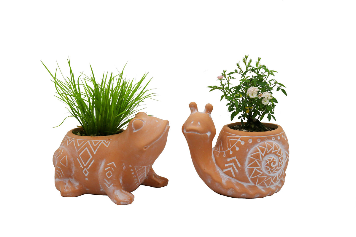 Terracotta Animal Planter Succulent Pots, Frog Snail Pots 2-Pack, Cute ...